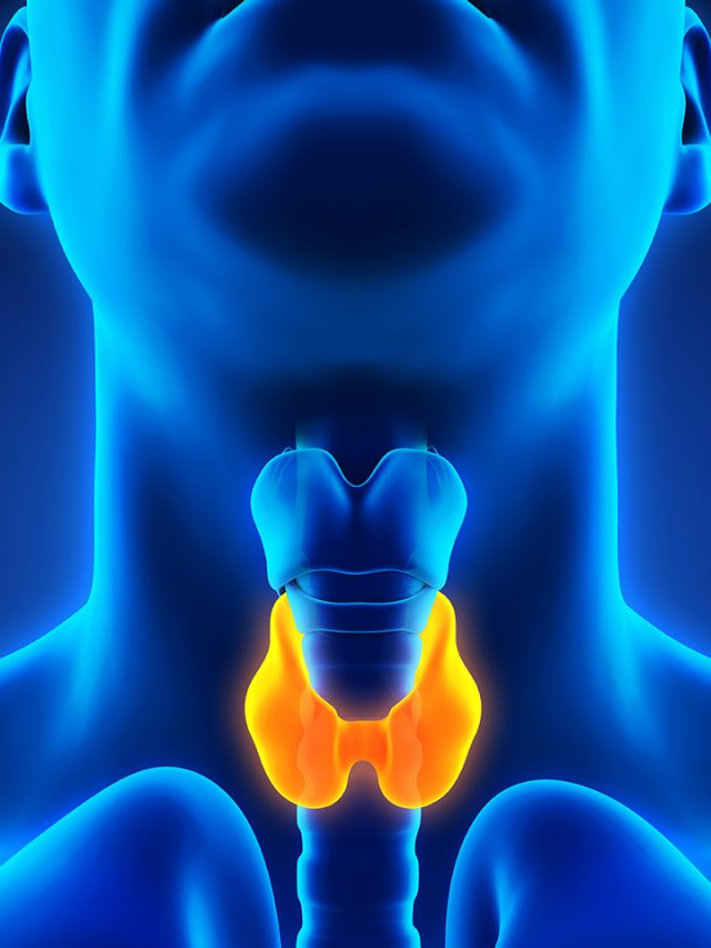 What are the Different Types of Glands? - Aakash Blog