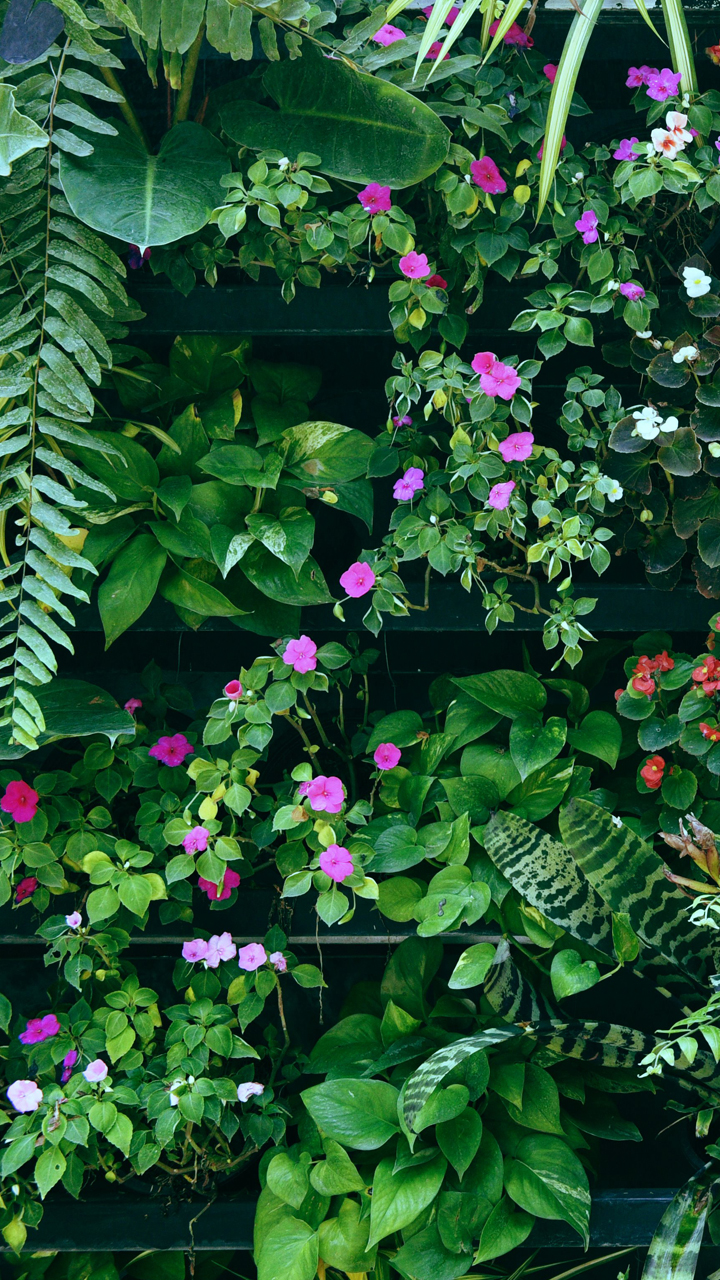 What is Flora and Fauna? Explain with Examples - Aakash Blog