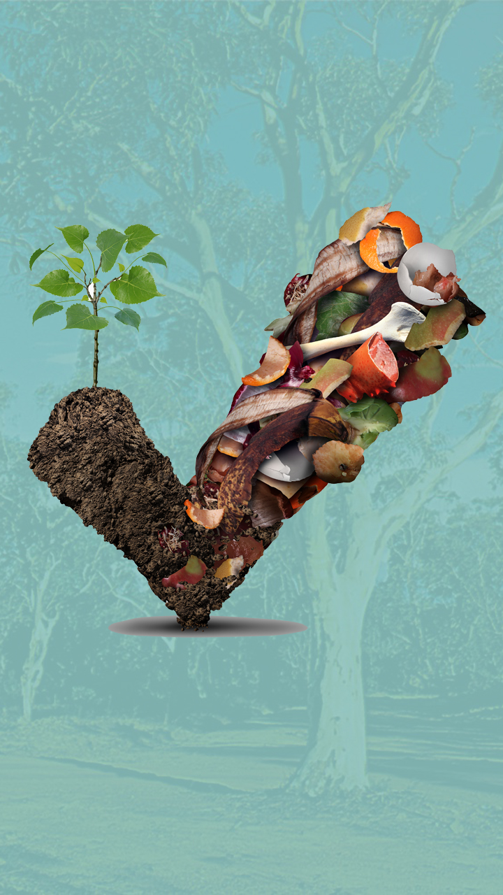 What are Biodegradable Substances? Explain with Examples - Aakash Blog