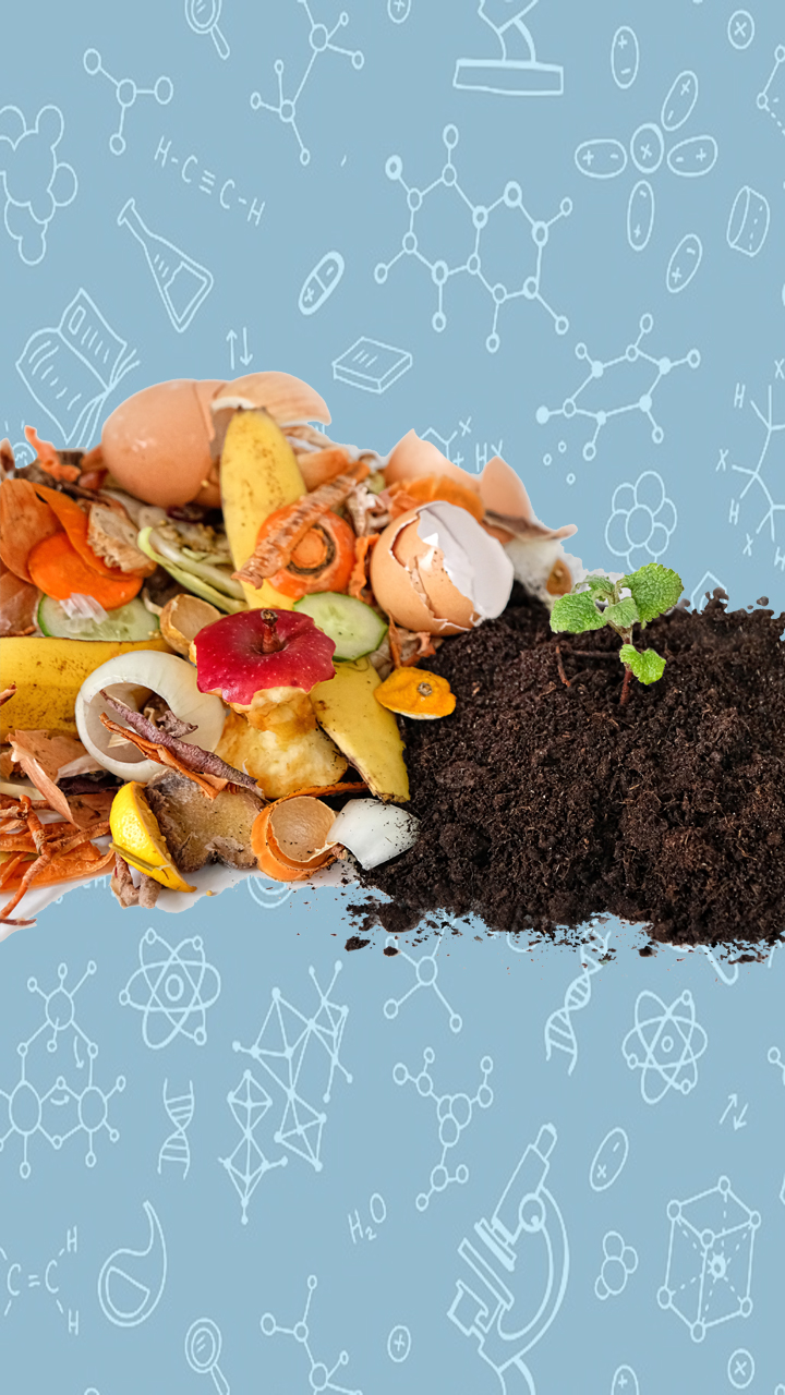 What are Biodegradable Substances? Explain with Examples - Aakash Blog