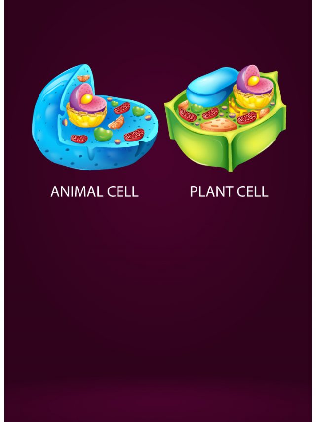 Cell Organelles: Types of Organelles in Animal and Plant cells ...