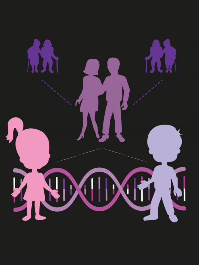 Explain the Fundamental Concepts of Evolution - Aakash Blog