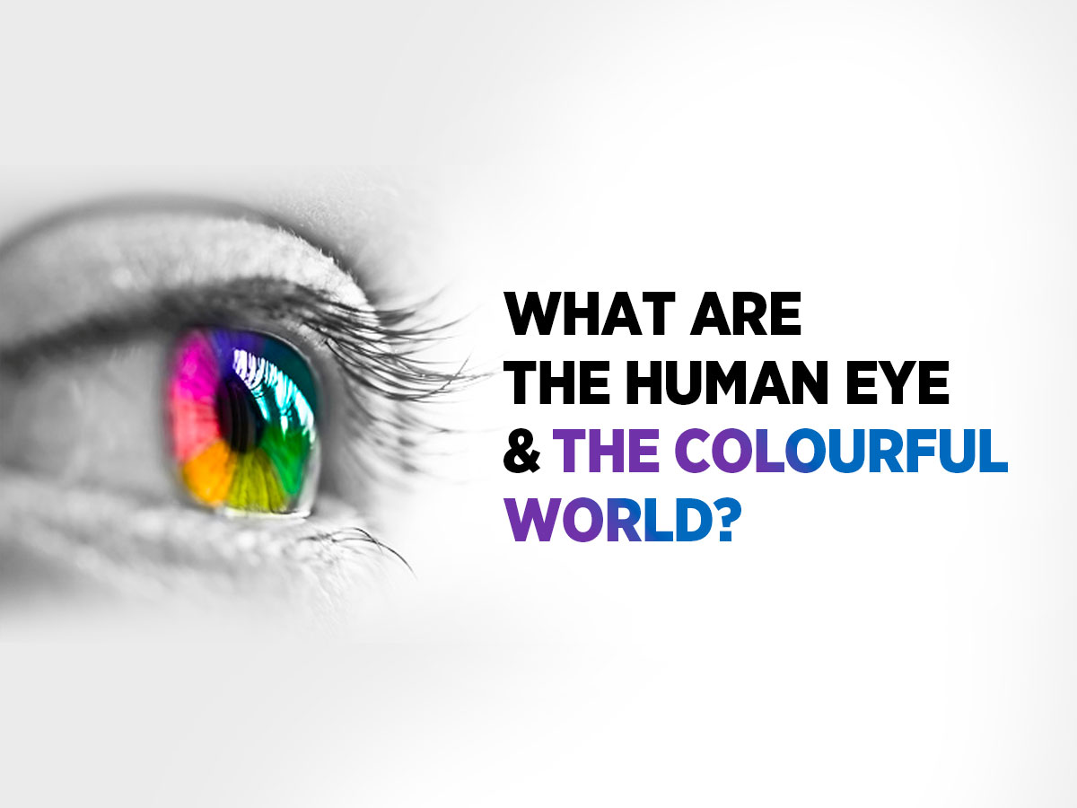 What Are Human Eye And The Colourful World