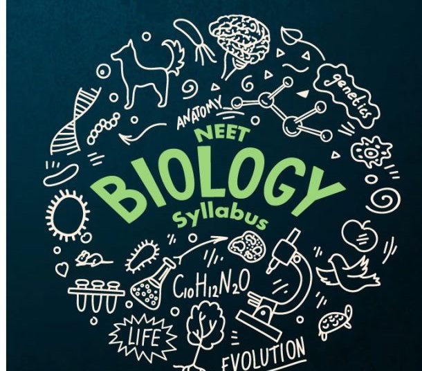 Understanding the structure and functions of Nucleus: CBSE 12th Biology ...