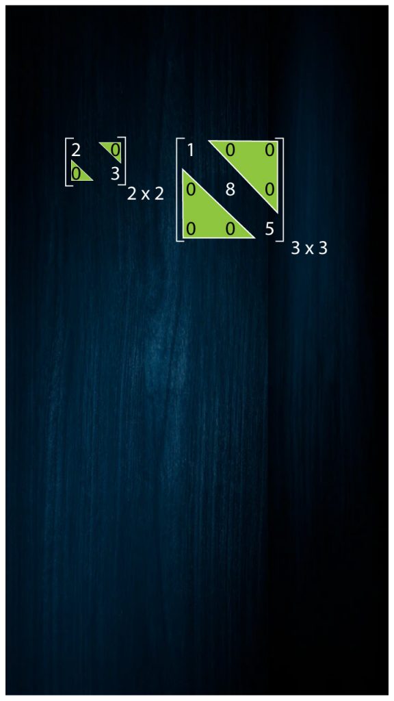 Diagonal Matrix Explained With Examples | NCERT Maths Class 12 - Aakash ...