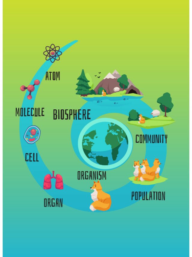 Explain the Ecological Hierarchy. Explain its Characteristics - Aakash Blog