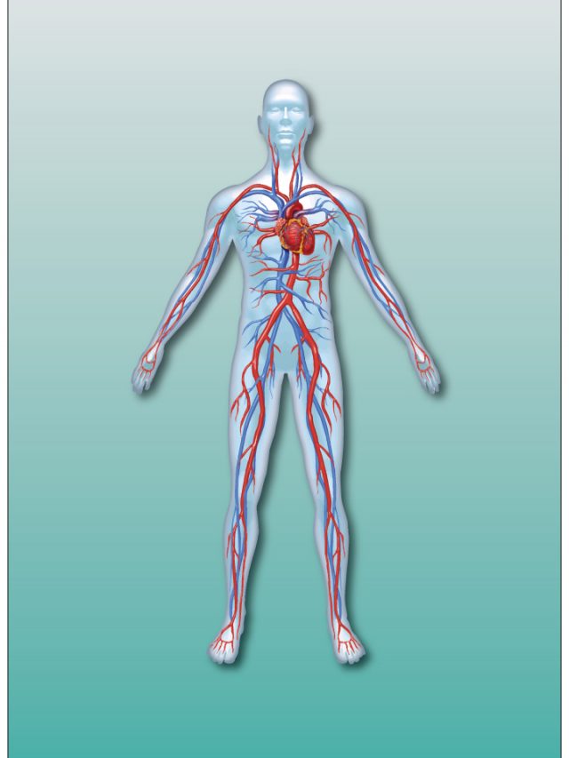 Which Stage Is Marked by Terminalisation of Chiasmata? - Aakash Blog