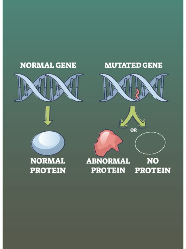 What Are Different Types of Mutations and Their Causes? - Aakash Blog
