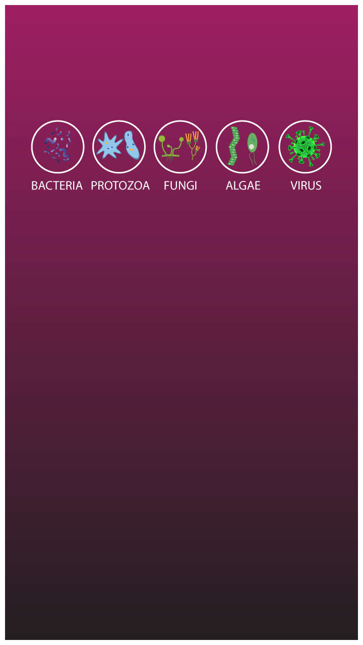 Microorganisms Protozoa
