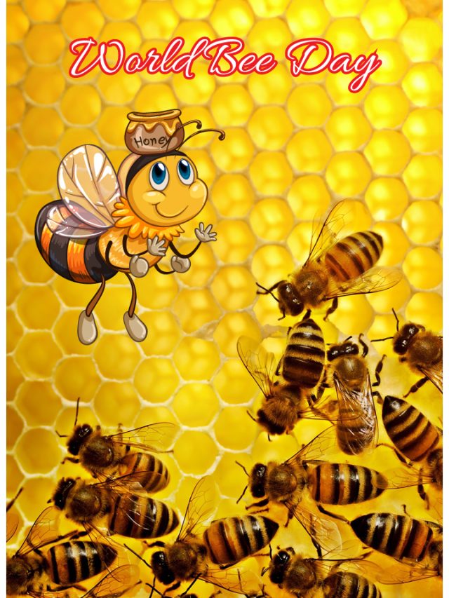 World Bee Day: 10 Most Beautiful Bees in the World - Aakash Blog
