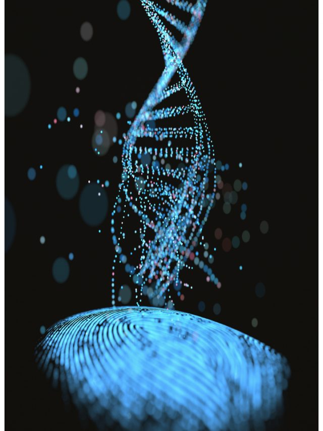 Explained: What are Non-biodegradable Items with Examples