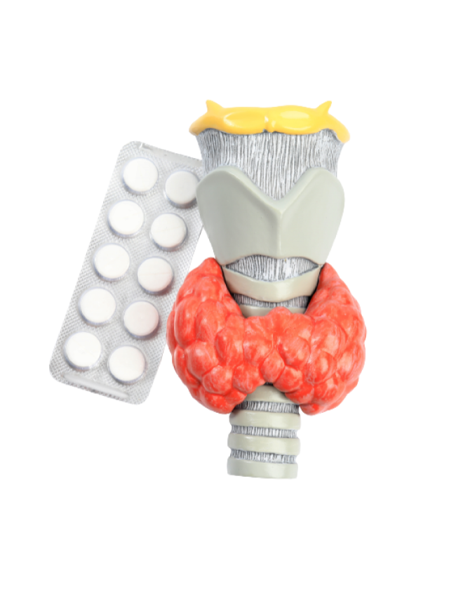 Thyroid Signs in Males | Symptoms of Thyroid Problems in Men