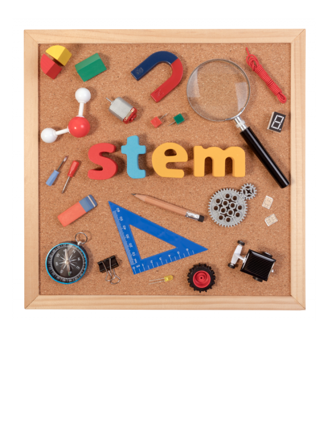Explained: Application of Similarity of Triangles with Example