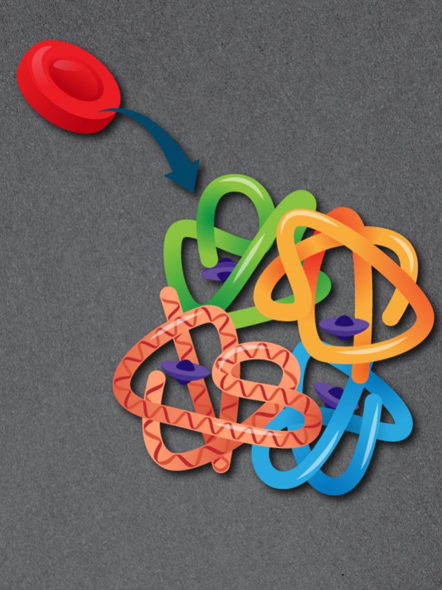Explained: The Role of Iron in Haemoglobin Production - Aakash Blog