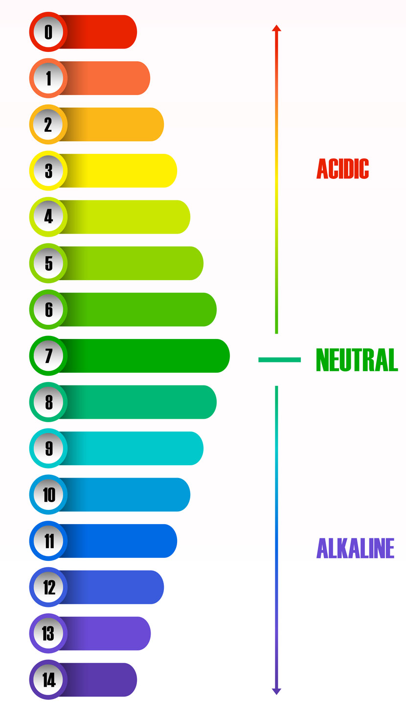 Gastric Acid Ph
