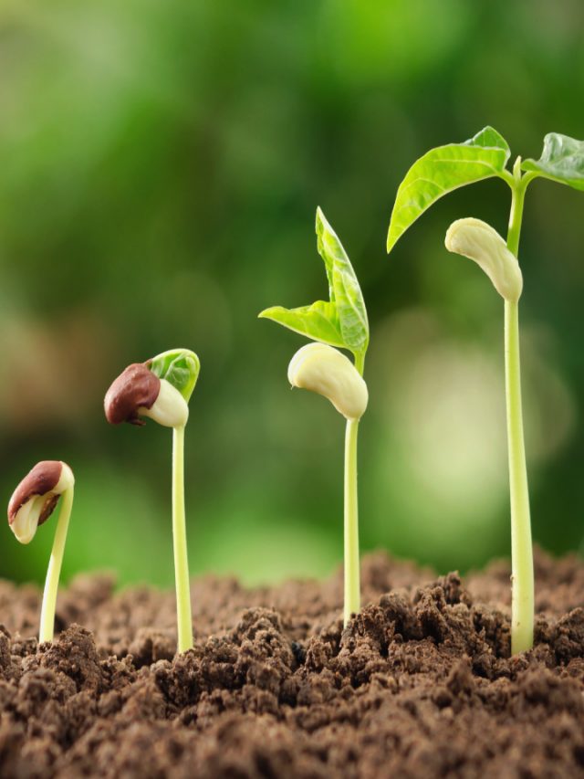 Characteristics of Living Organisms: Explained With Examples - Aakash ...