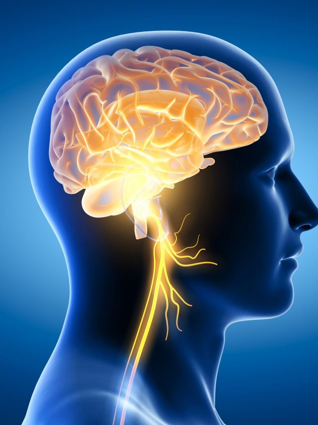 How to Develop a Strong Memory for NEET 2023 Preparation? - Aakash Blog