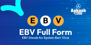 EBV Full Form: EBV Stands for Epstein Barr Virus