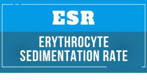 ESR Full Form - ESR Stands For Erythrocyte Sedimentation Rate