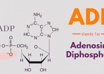 CMOS Full Form: CMOS Stands for Complementary Metal-Oxide-Semiconductor