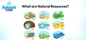 What are Natural Resources?