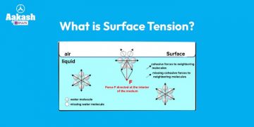 What is Surface Tension?