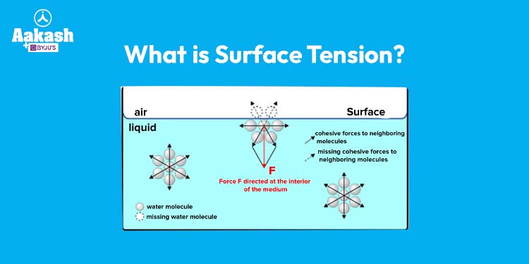 What is Surface Tension?