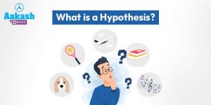 What is a Hypothesis?