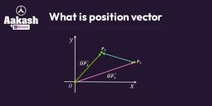 What is Position Vector?