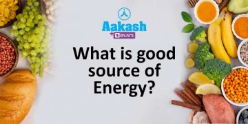 What is a good source of energy?