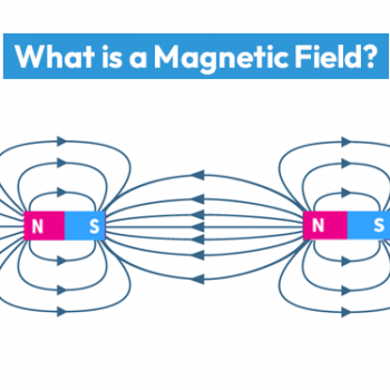 What is the Lithosphere?