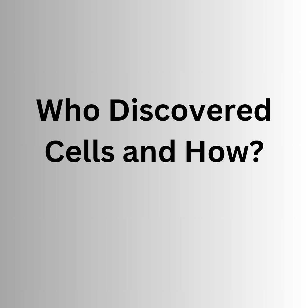 Who Discovered Cells and How?